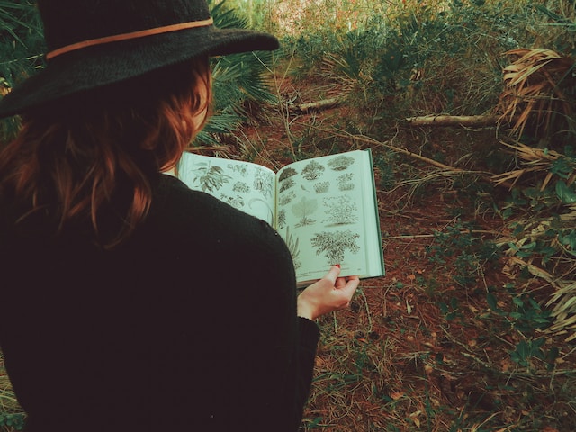 How to Become a Botanist: Steps and Skills - VisGardens-Alt